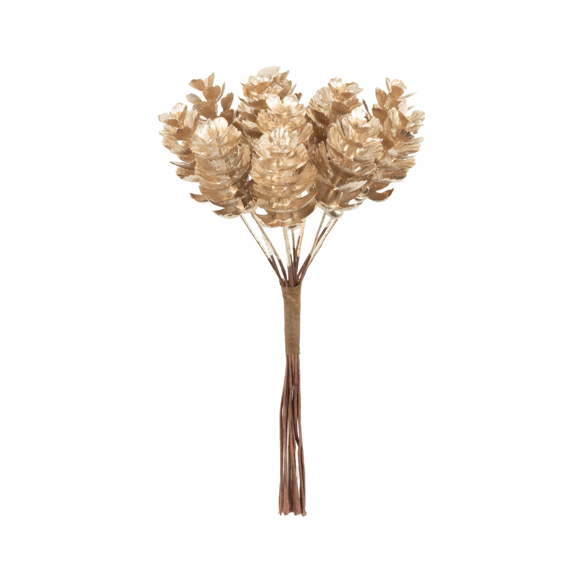 Mini Fir Cone Picks – One Fish Two Fish