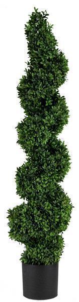 Boxwood Topiary – One Fish Two Fish